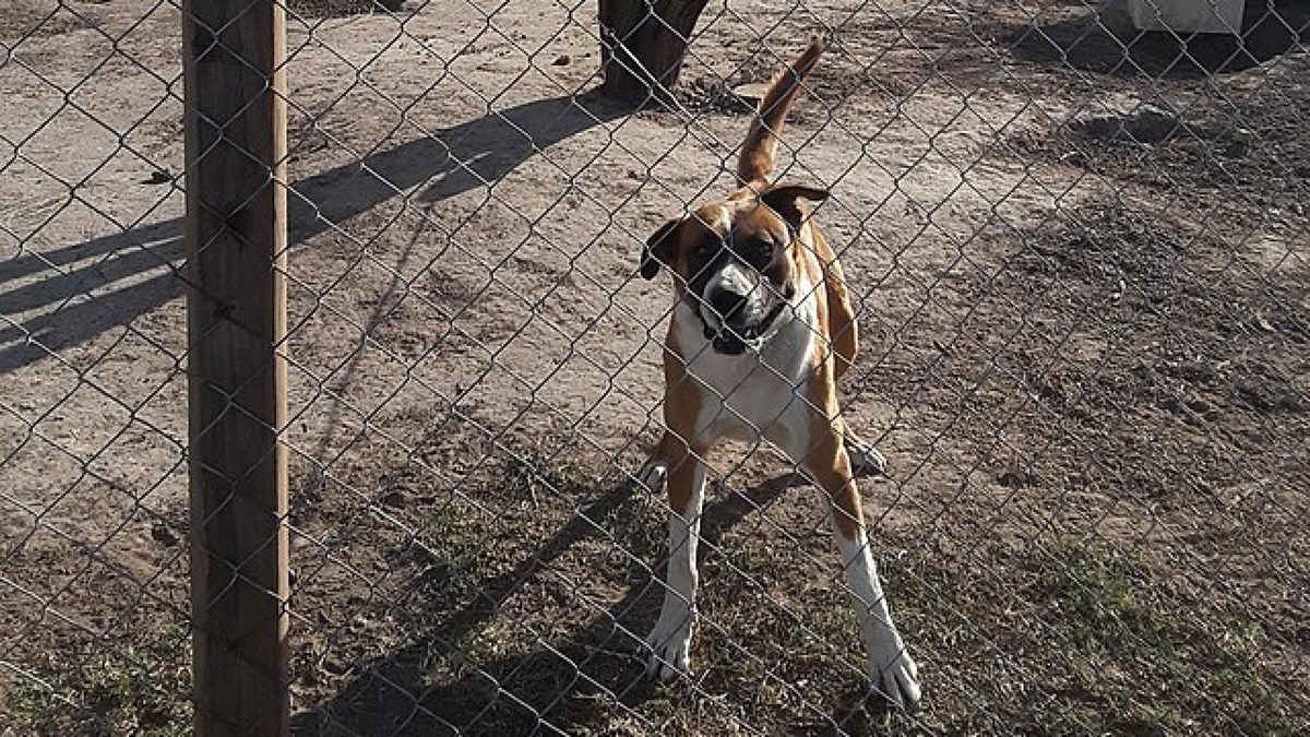 What’s up with…. UK watchdog, Juniper, the ESI ThoughtLab, Data Centres ...