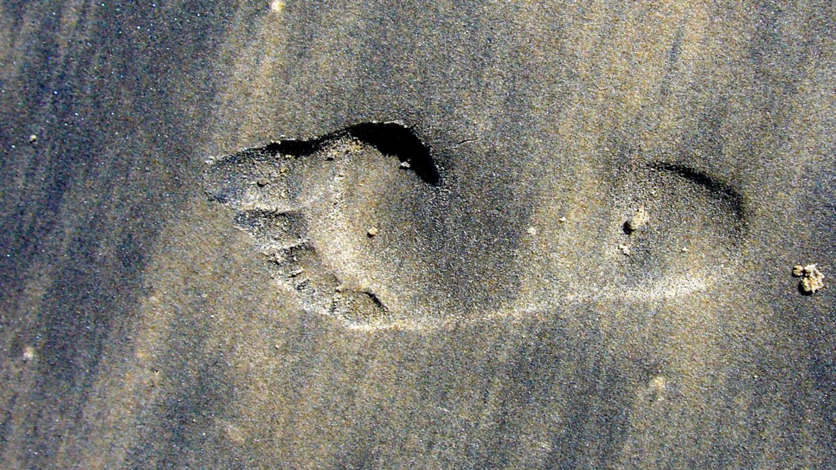 AT&T & Vodafone see the ‘big footprint’ as the key to NB-IoT , News ...