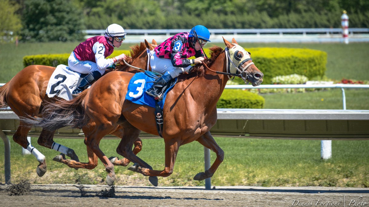 HP noses ahead of Cisco in the high-stakes cloud kit race, Cloud ...