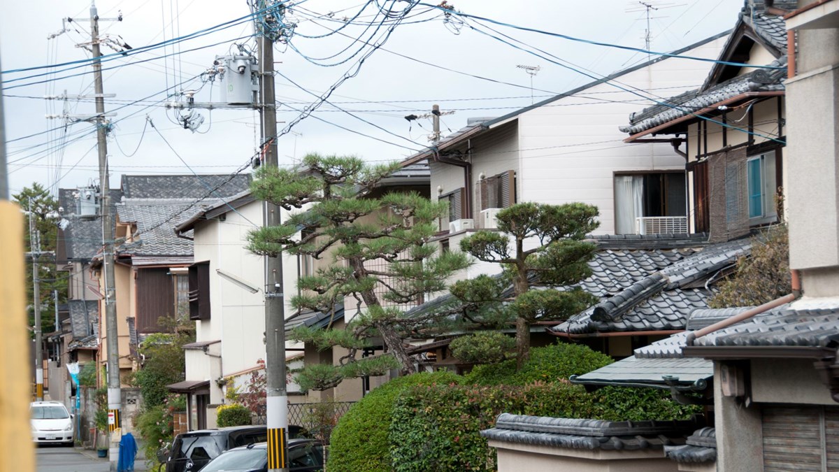 Tokyo power company orchestrates 5G infrastructure sharing, 5G ...