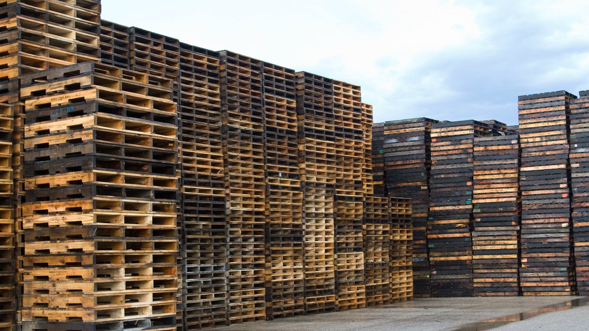 The connected pallet: the next ‘greenfield’ IoT application?, IoT ...