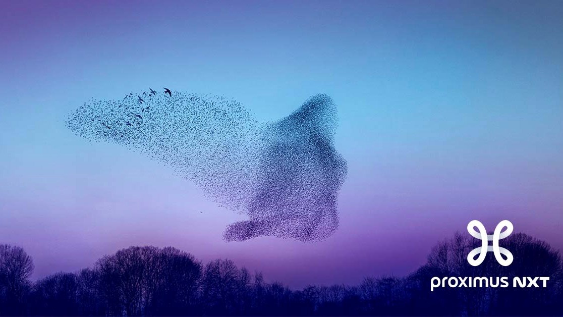 What’s up with… Proximus, DT & LotusFlare, Telecom Egypt & 4iG Group ...