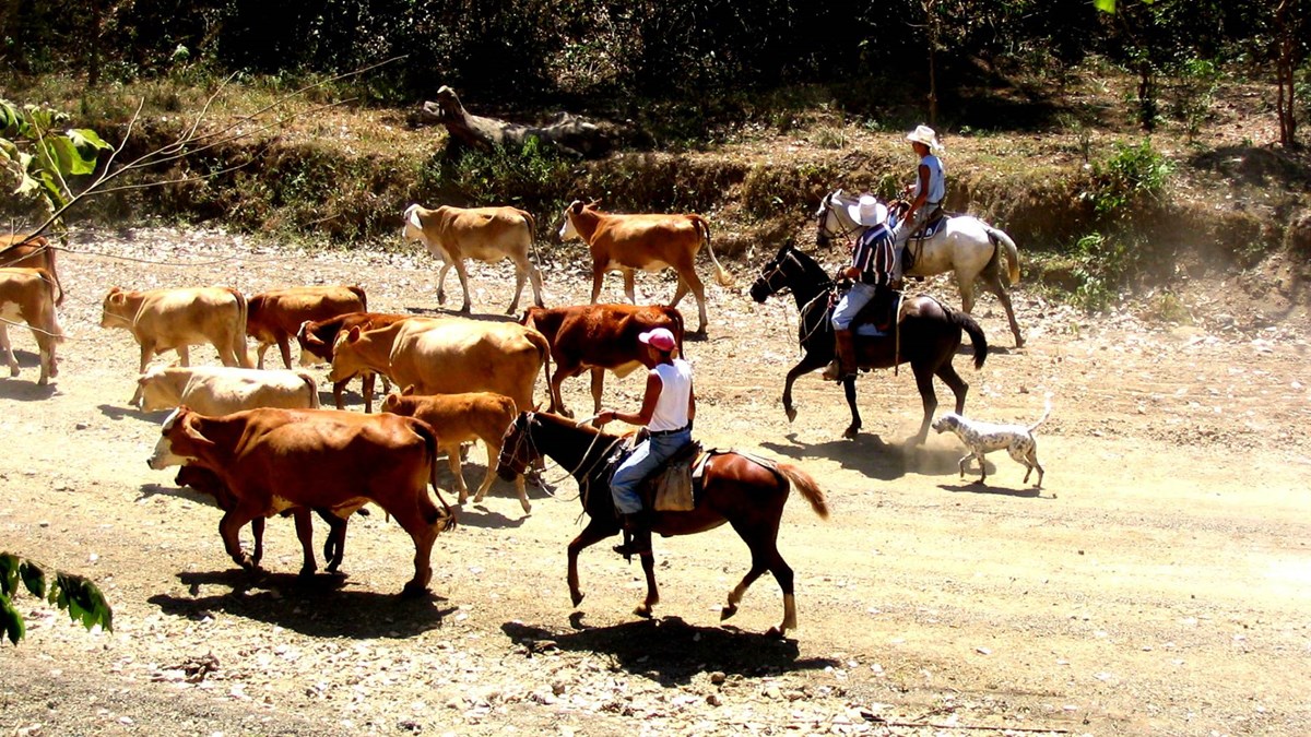 Is bigger always better, even in rural Texas?, News | TelecomTV