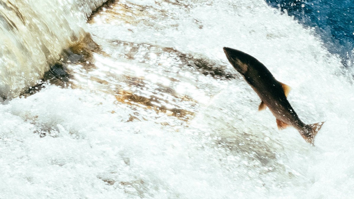 Samsung claims ultra-speedy WiFi breakthrough at 4.6Gbit/s, Wi-Fi ...